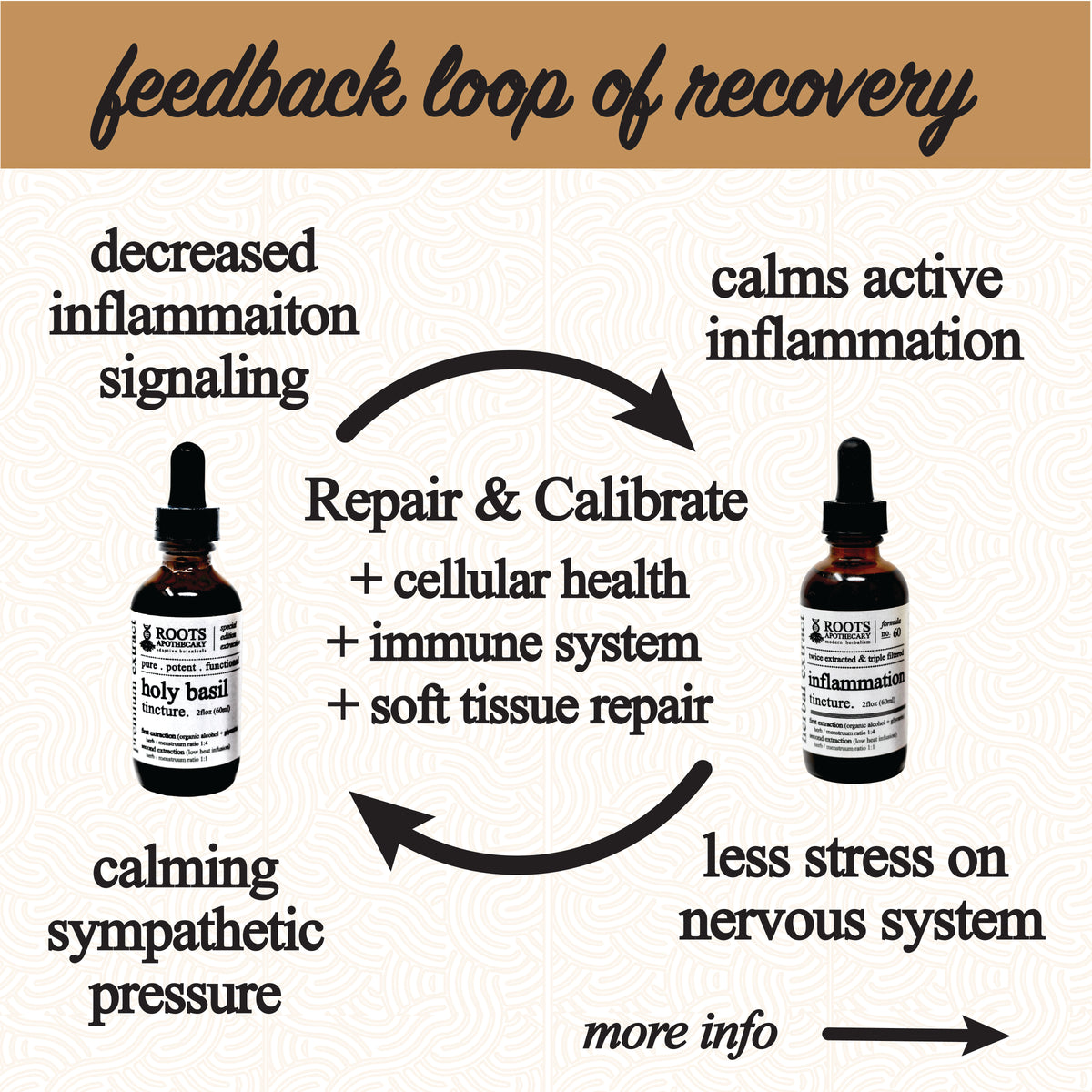 ROOTS APOTHECARY. authentic plant therapy. organic and sustainable ...