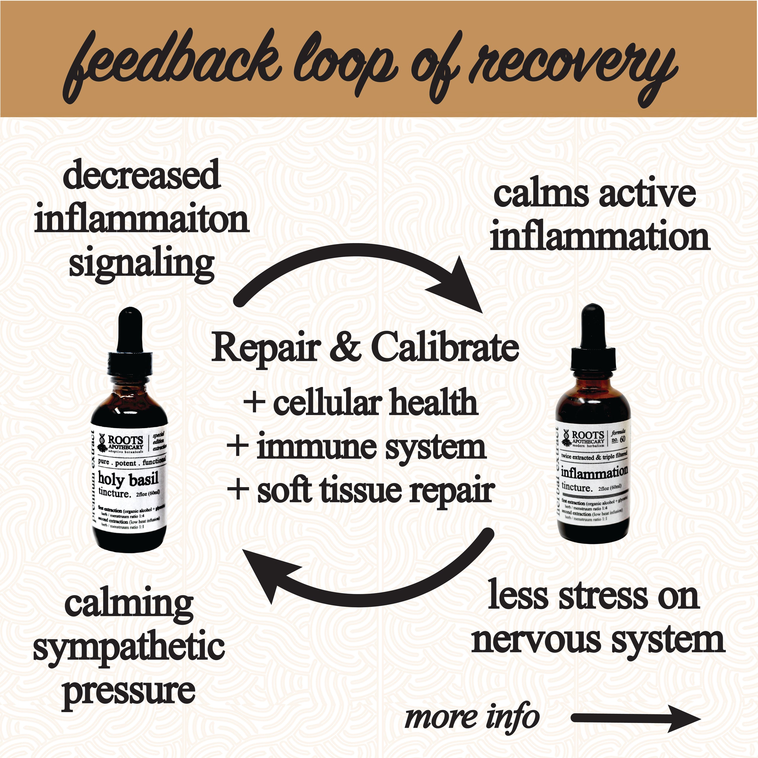 ROOTS APOTHECARY. authentic plant therapy. organic and sustainable ...